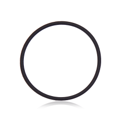 Back Camera Lens O-Ring Gasket For iPhone 12 Pro Max / 13 / 13 Mini ...